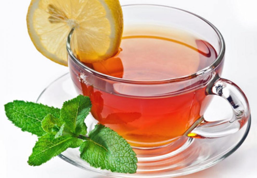 Leão lança chá em cápsulas - Dicas da Capital | Dicas da Capital